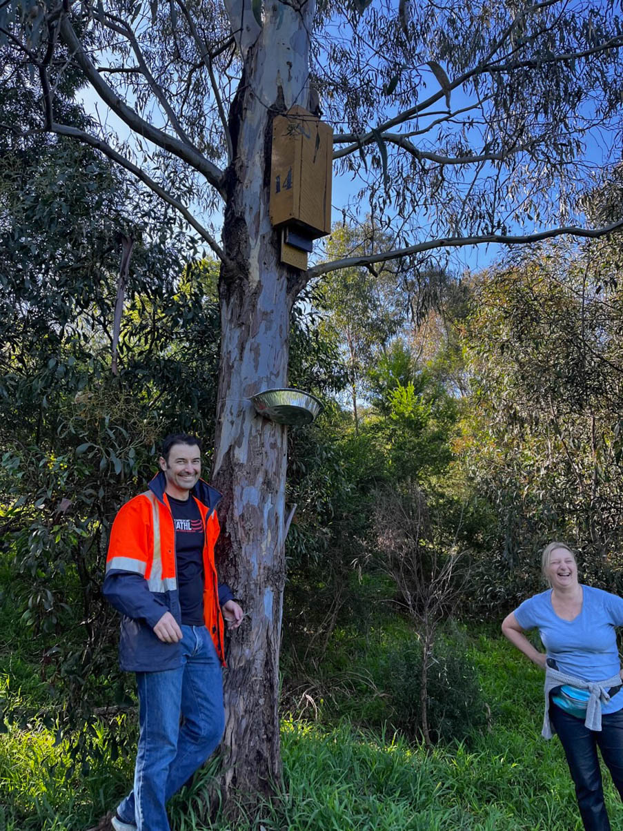 Microbat nest box monitoring - Westgate Biodiversity: Bili Nursery ...